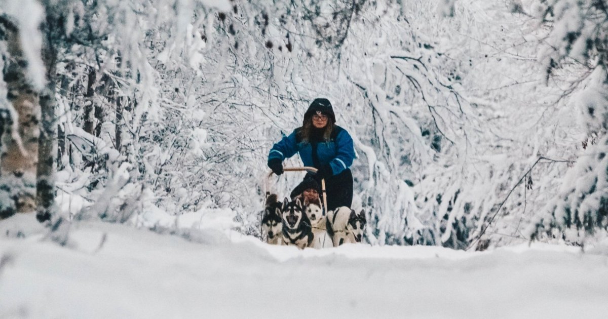 Husky Abenteuer / Authentic Scandinavia