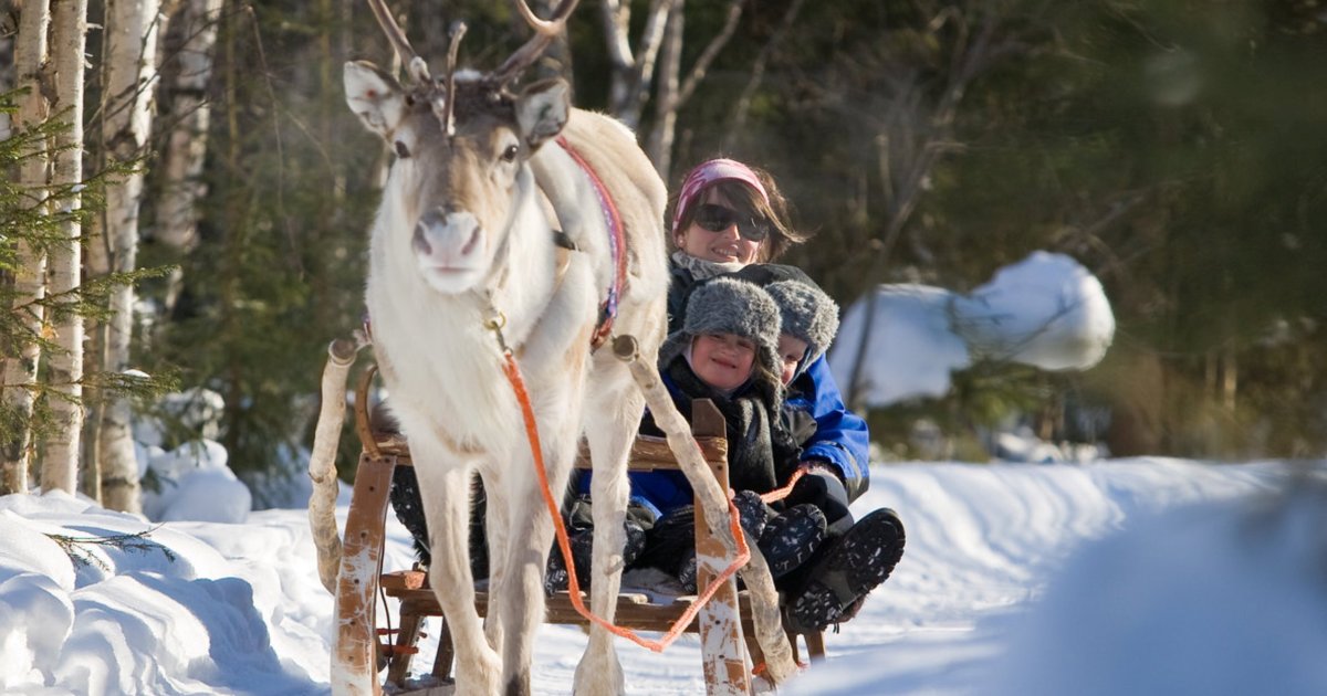 Leichte Rentier-Safari in Rovaniemi / Authentic Scandinavia